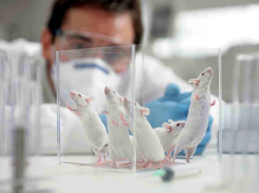 What it’s like to be a (consenting) lab-rat: using research in aid and ...